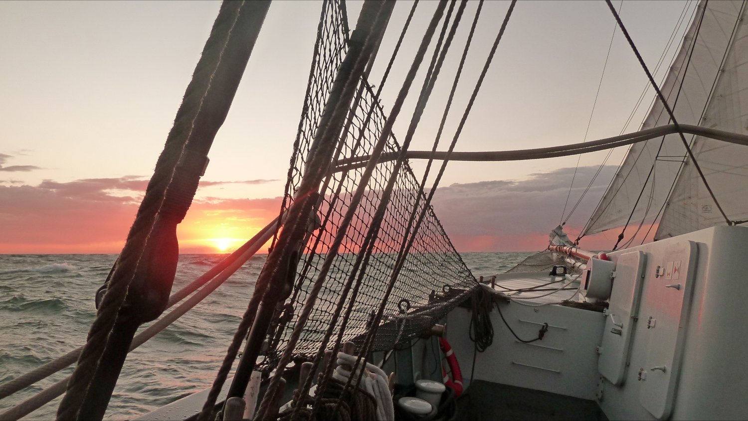 Summer sailing voyages Wylde Swan 2021 - Wylde Swan